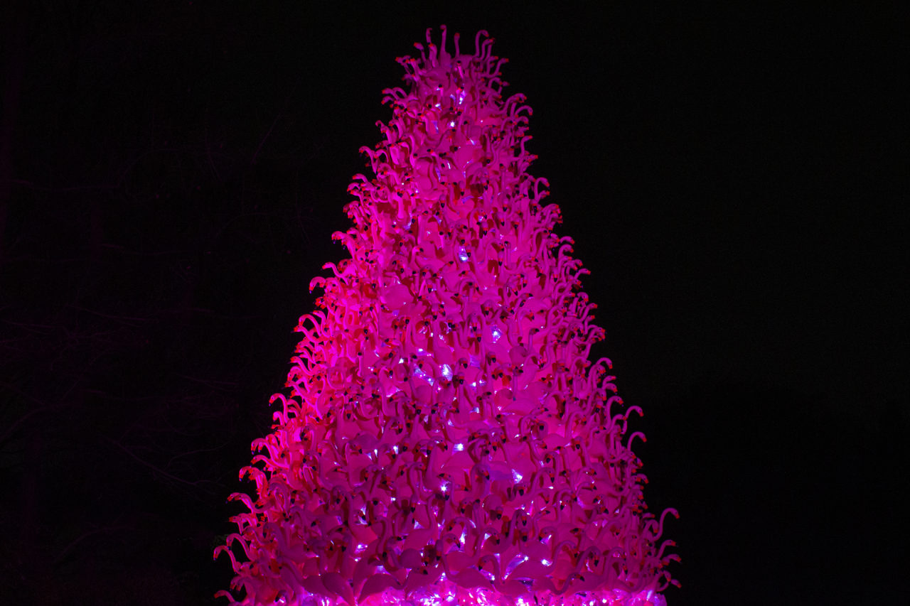 LumiNature – Philadelphia Zoo