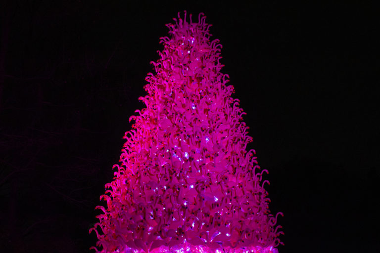 LumiNature – Philadelphia Zoo