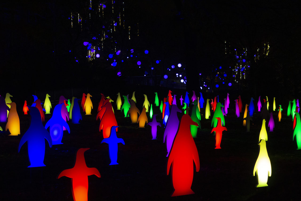 LumiNature – Philadelphia Zoo